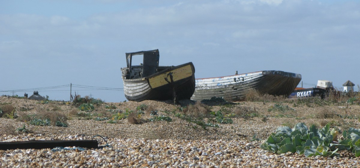 Experience | Beyond Steeple Point