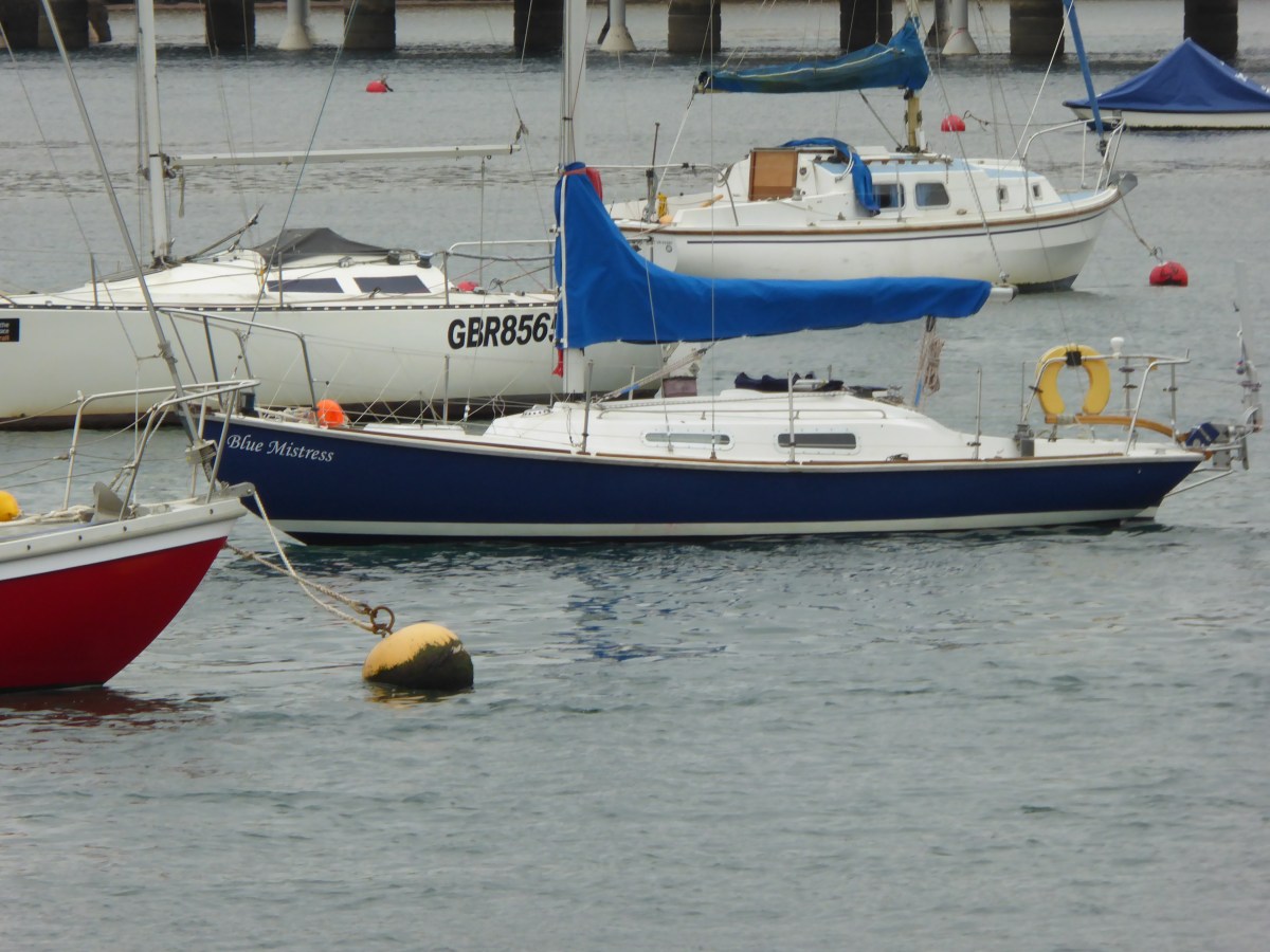 What’s it for? | Beyond Steeple Point